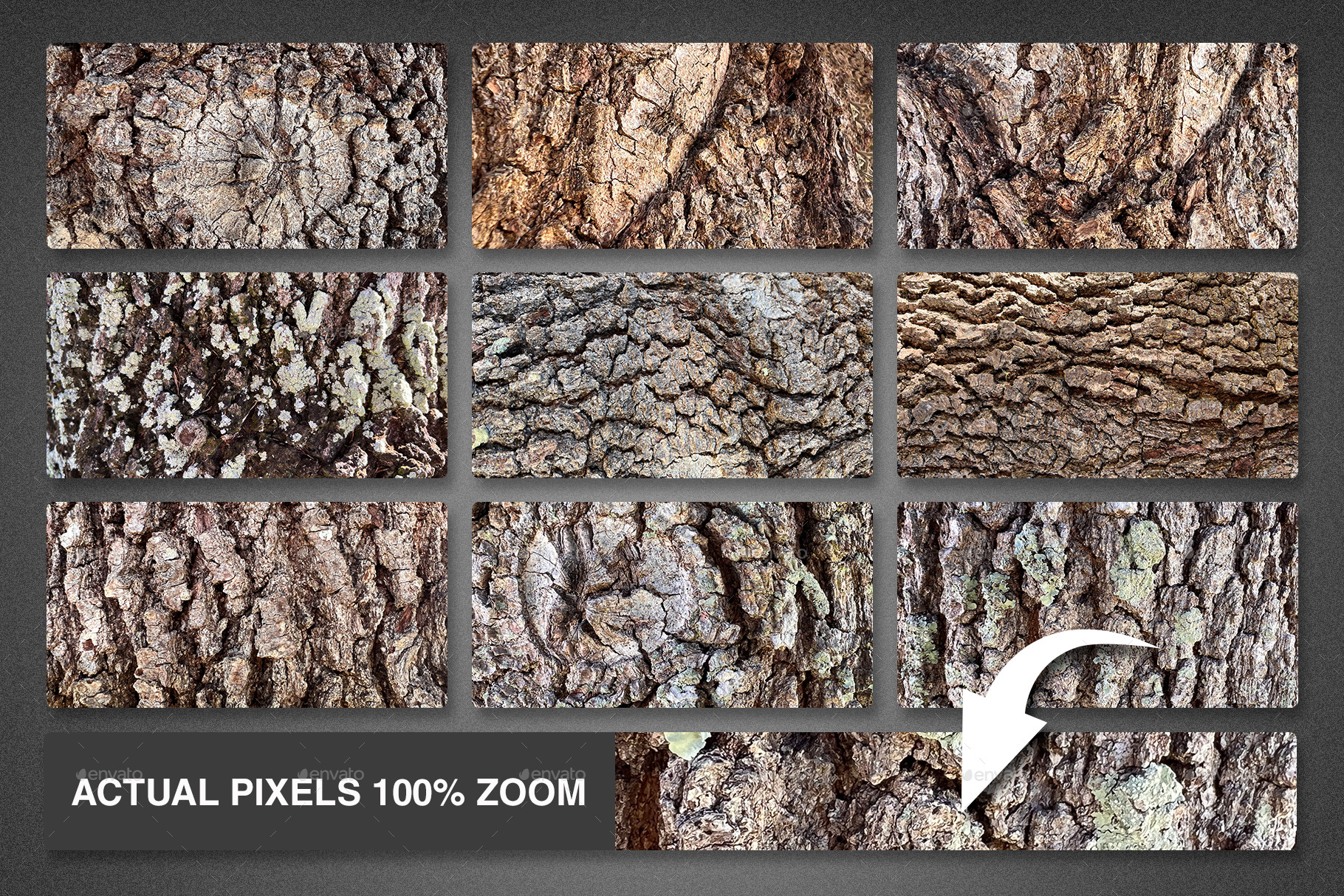 Oak Tree Bark Texture Pack, Textures | GraphicRiver